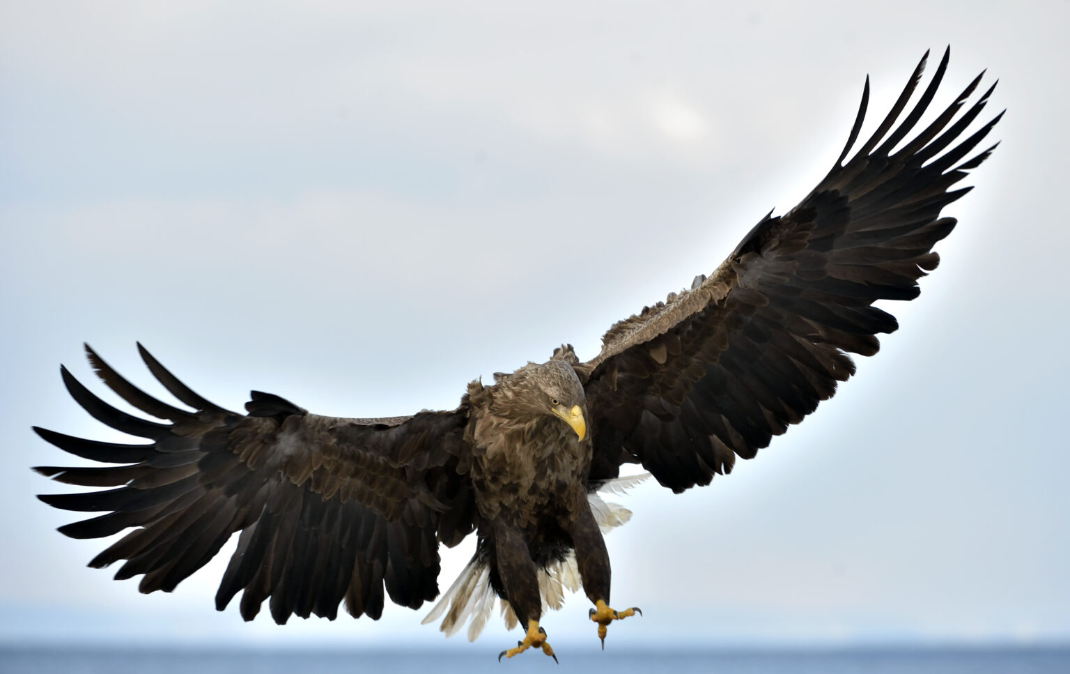 The Feel of Alaska Sailing Adventures on An Inside Passage Boat Charter ...